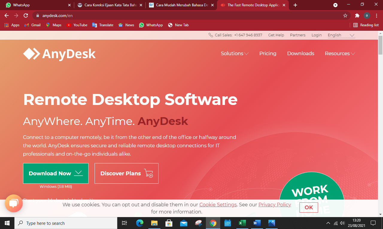 Anydesk install in windows 10 - polsure